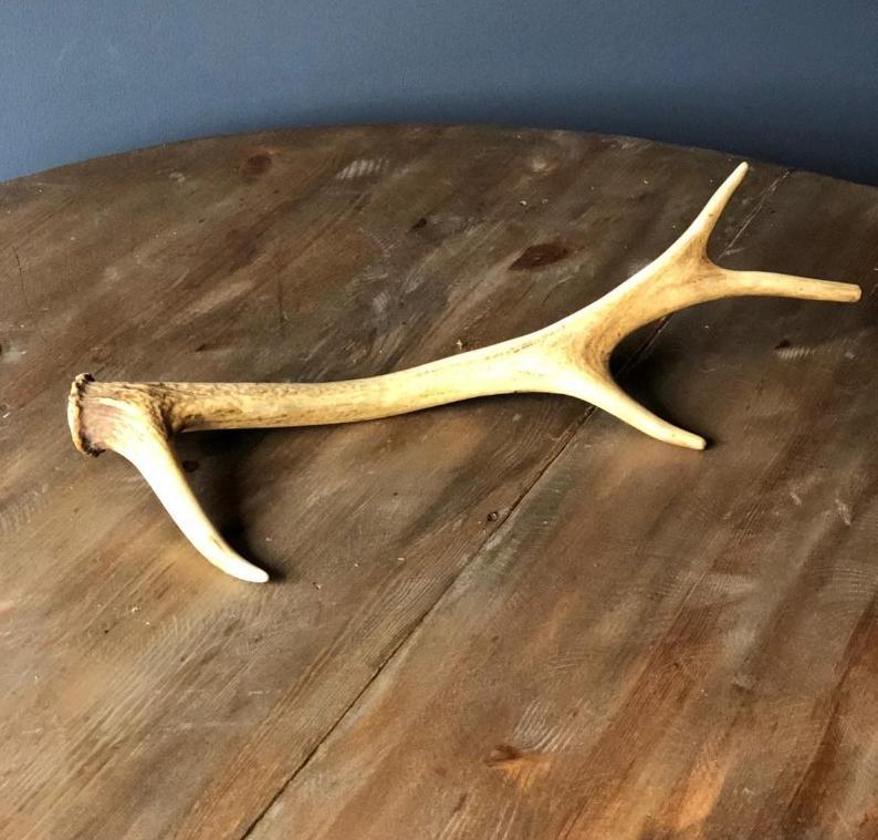 Antlers | Prop Hire Essex | Rock the Day | Event Styling